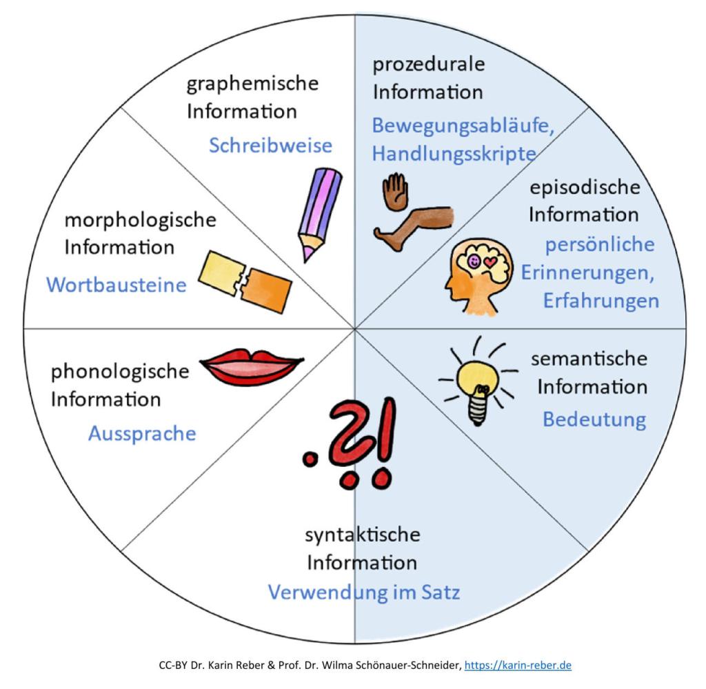 Wortschatz fördern mit dem Modell des mentalen Lexikons – Tipps – Dr ...